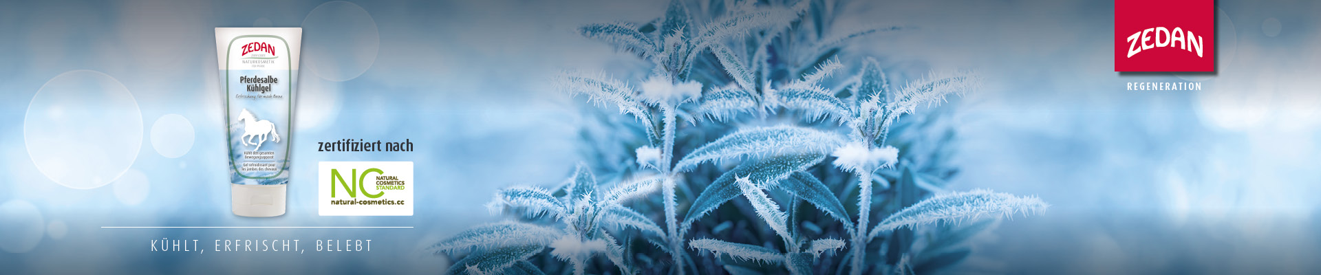 Regeneration - MM Cosmetic GmbH